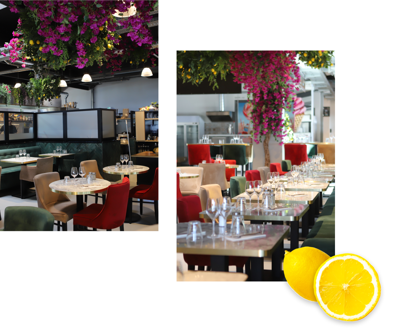Le restaurant - Bustan - La Ciotat